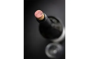 Different Types Of Wine Bottle Corks And Closures - Reliable Glass ...