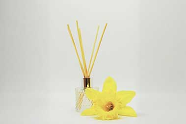 A Comprehensive Guide to Glass Diffuser Bottles - Reliable Glass ...